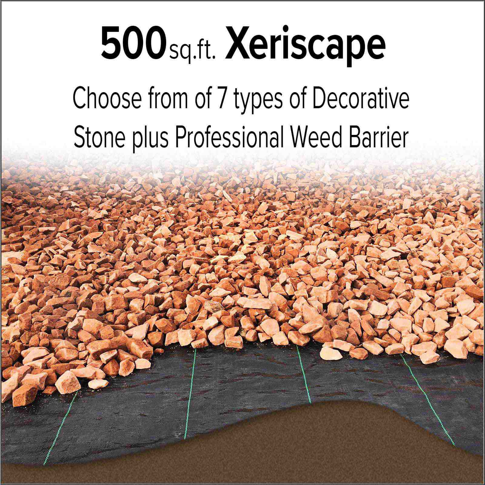 DIY Xeriscape | American Stone