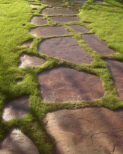 DIY Garden Paths | American Stone