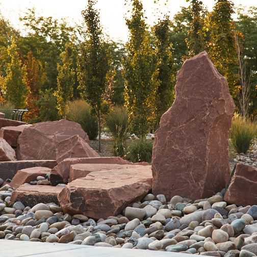 Your Xeriscape Project | American Stone