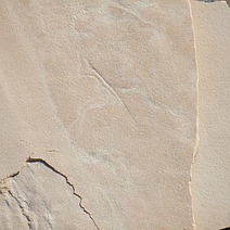 Classic Oak Promontory Flats | American Stone